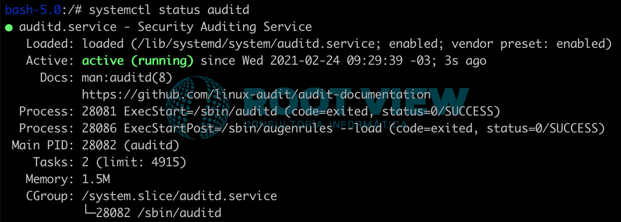 Auditar Linux TTY con pamd y auditd - Root View
