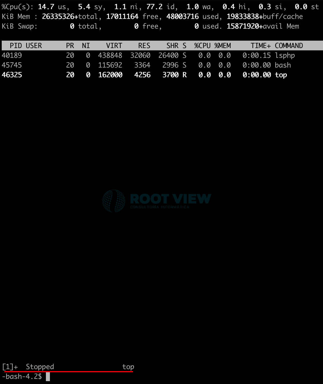 Reattach proceso en background - UNIX Systems - Root View